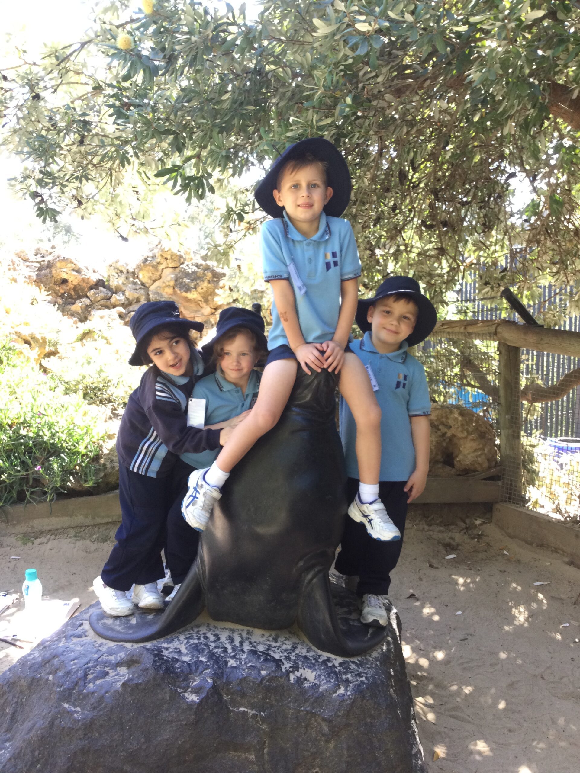 Foundation Zoo Excursion - St Marks Lutheran School