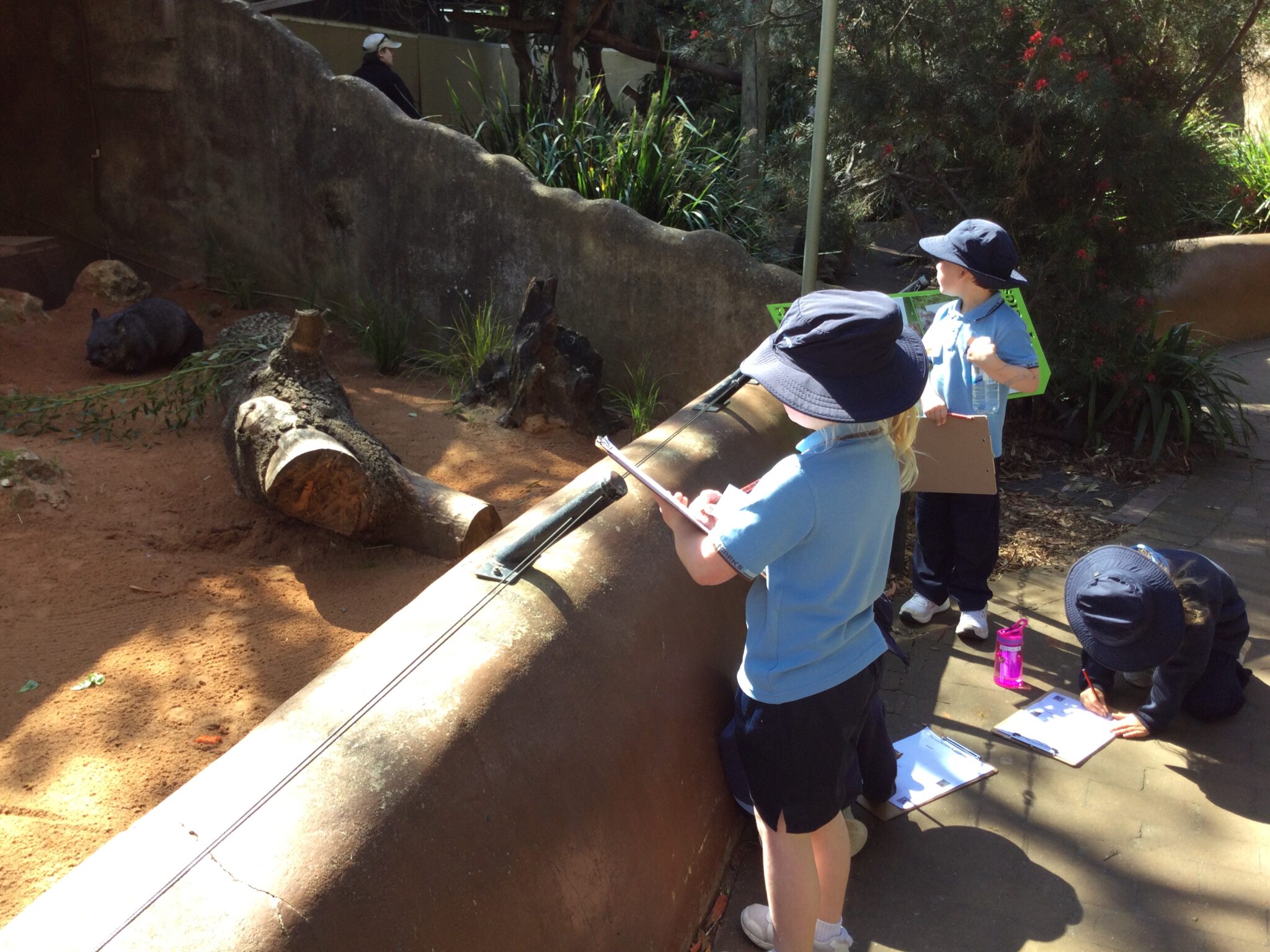 Foundation Zoo Excursion - St Marks Lutheran School